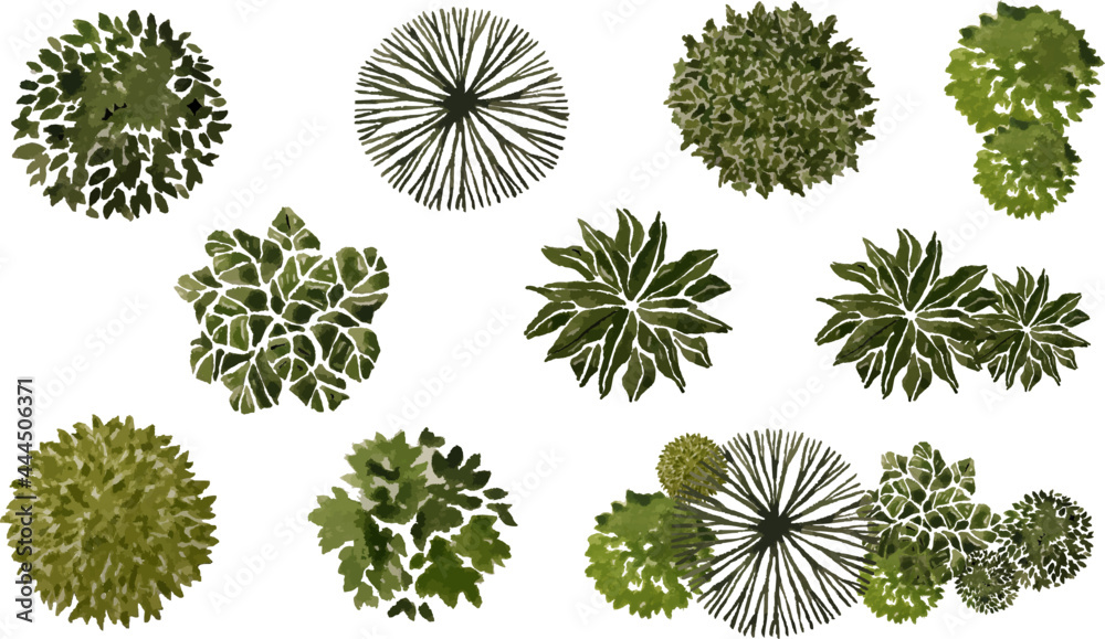 vector watercolor tree top view isolated on white background for ...