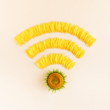 Contemporary Sunflower Digital Art Free Stock Photo - Public Domain ...