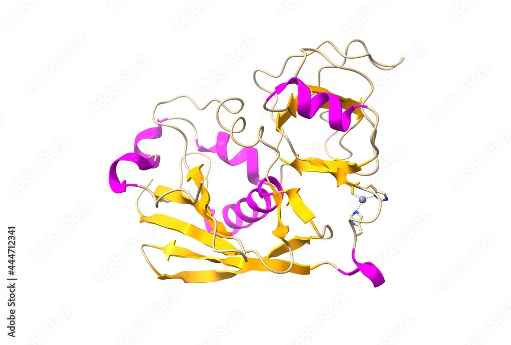 Structure of enterotoxin C2 from Staphylococcus aureus, 3D cartoon ...