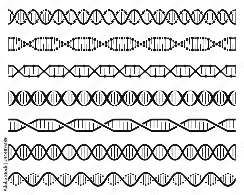 Vector de Stock Dna helix chains. Double helix gene molecule structure ...