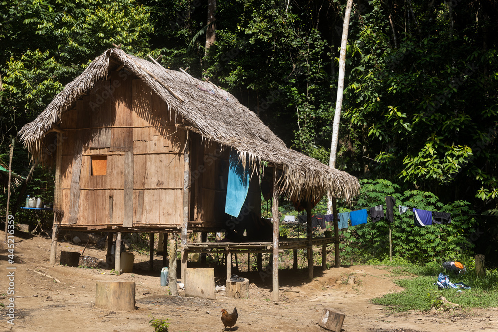 Foto de Stock Batek natives traditional home. Batek are the indigenous ...