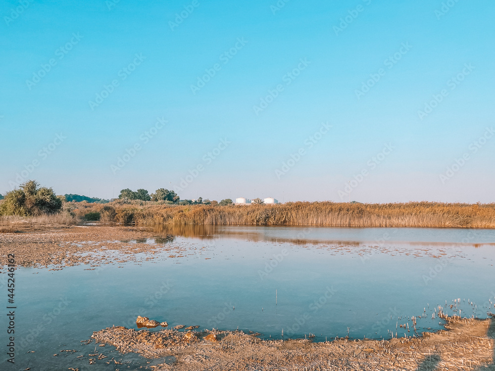 Dessert wild plants and nature | Spectacular Landscape View at Al ...