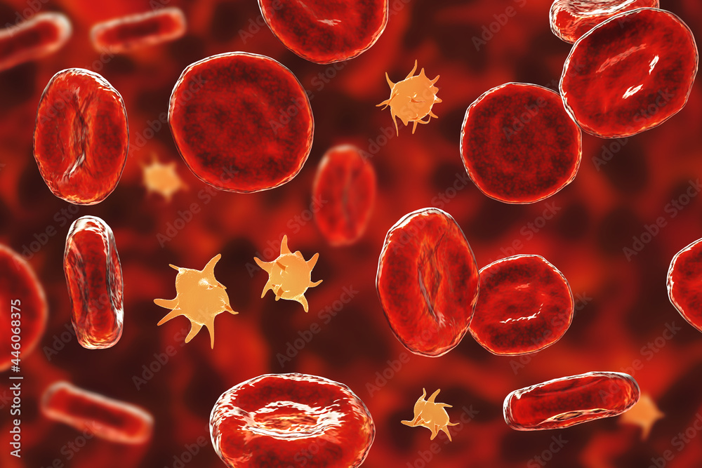 Platelets in blood smear, 3D illustration Stock Illustration | Adobe Stock