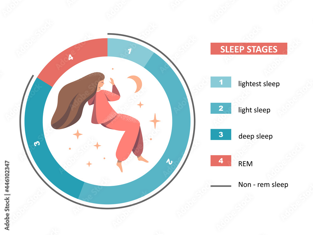 Sleep stages: lightest, light, deep sleep, REM. A nice young woman ...