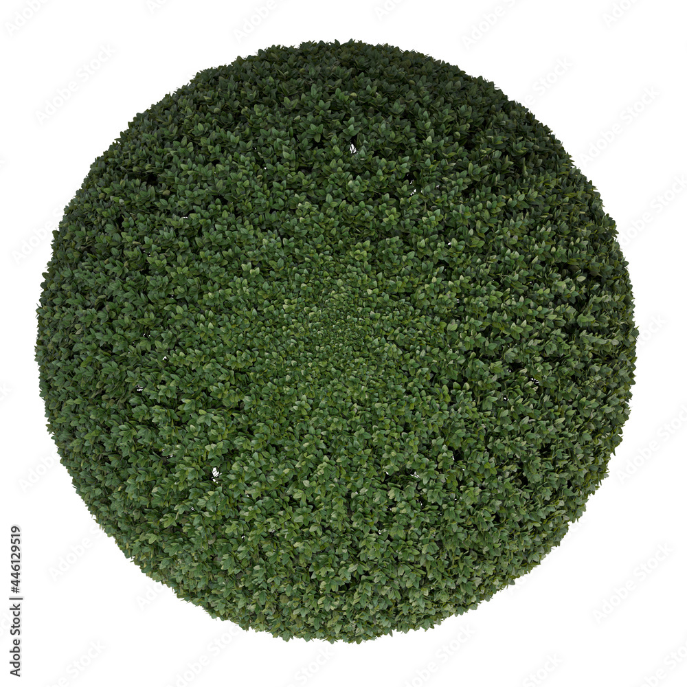 VEGETATION TOP VIEW - TREES AND BUSHES IN PLAN Stock Illustration ...