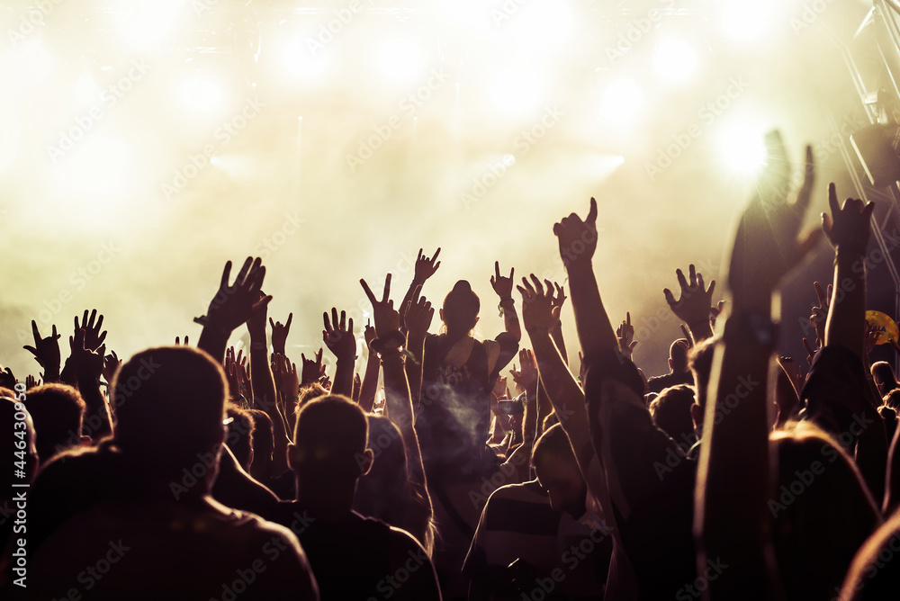 crowd at the concert Stock Photo | Adobe Stock