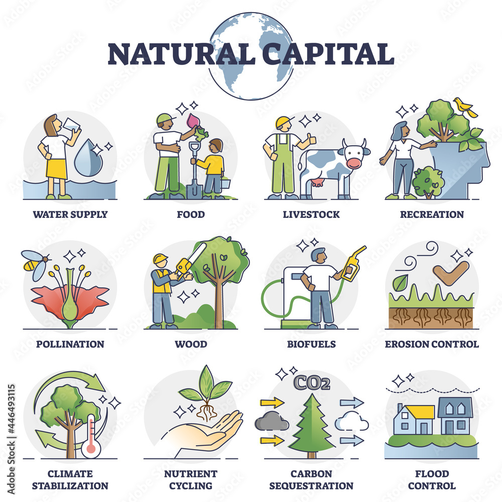 Natural capital as environmental resources and assets outline ...