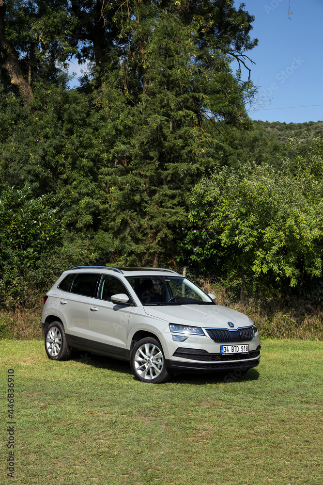 Skoda Karoq is a compact crossover SUV designed and built by the Czech car manufacturer Škoda ...