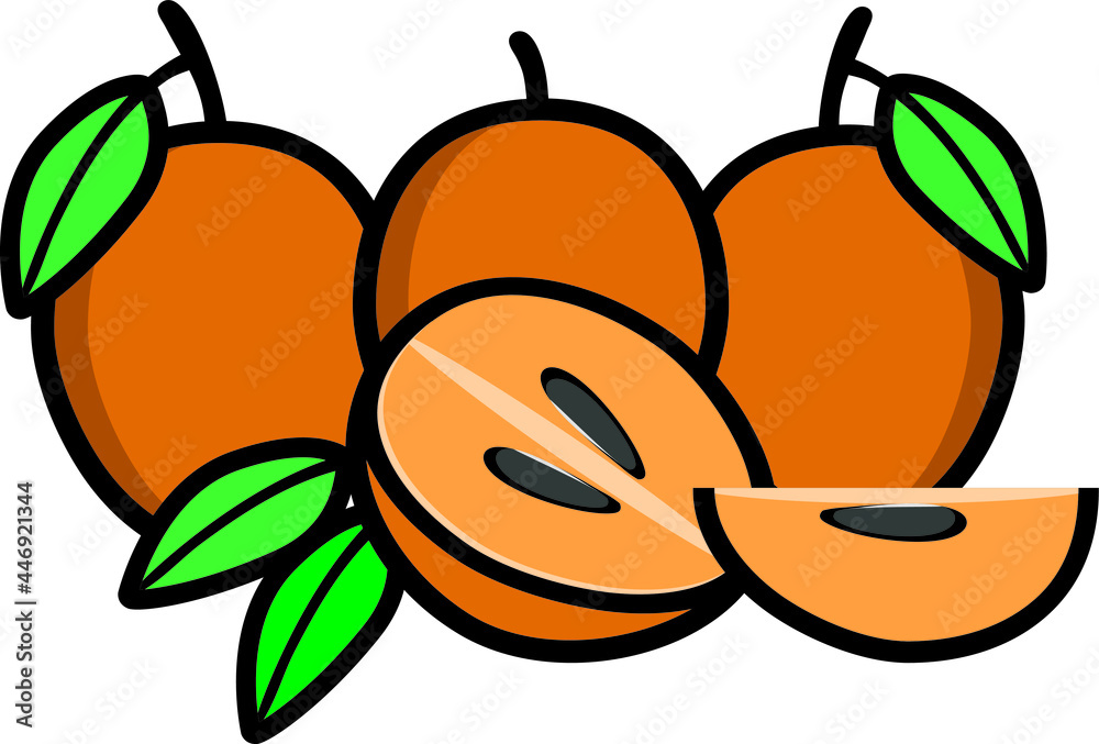 Sapodilla fruit isolated on white background, Indian chikoo or chiku ...