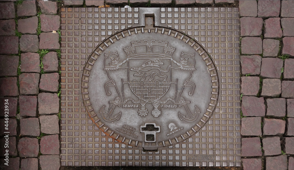 metal drain cap with intricate designs of a coat of arms with animals ...