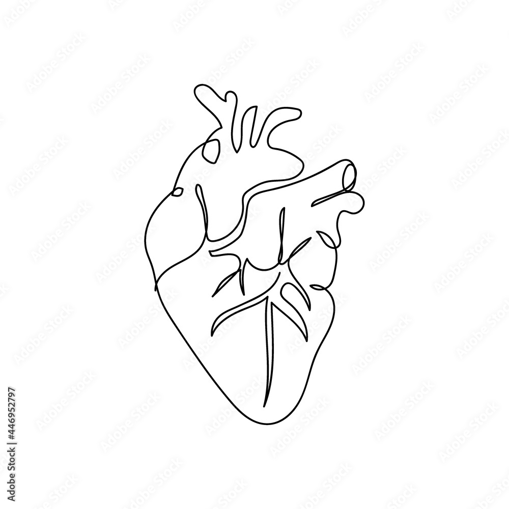 Human heart with blood vessels one line art. Continuous line drawing of ...