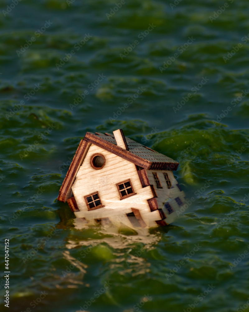 House floating in ocean water with green sea weeds is symbol of ...