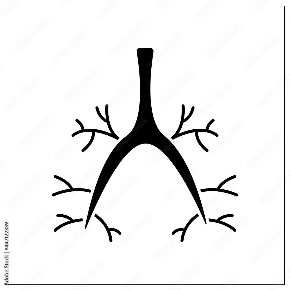 Bronchi glyph icon. Respiratory system conducts air into lungs. Medical ...