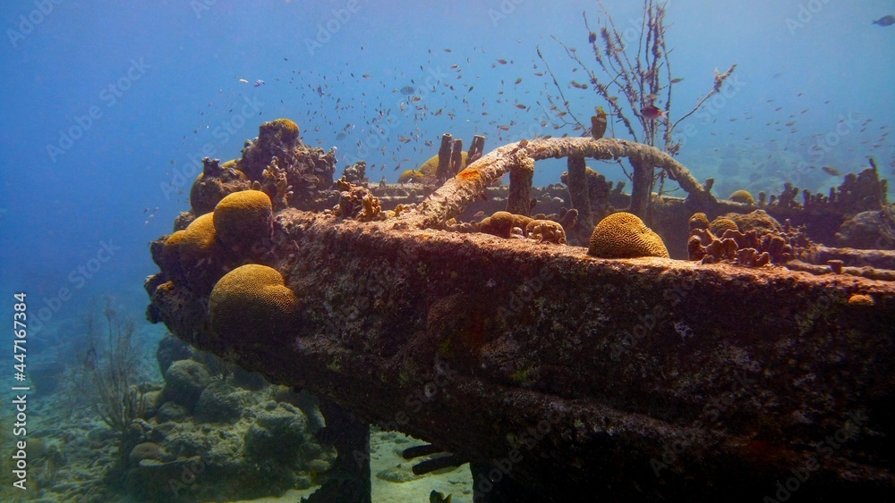 Photo Stock Underwater photo of a tugboat wreck artificial reef ...