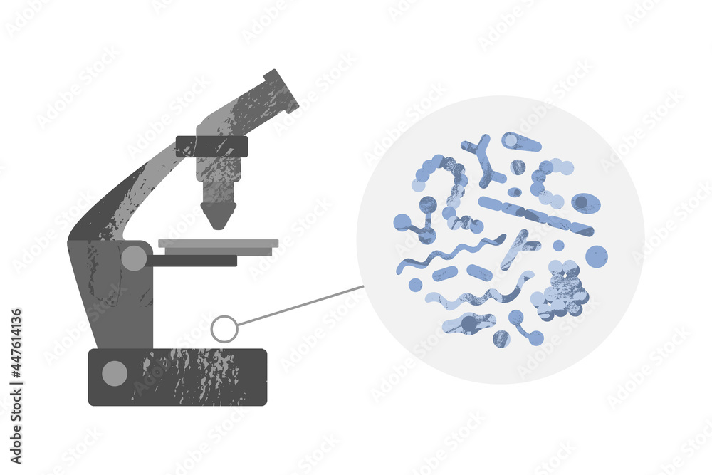 Bacteria under the microscope: coccus, bifidobacterium, clostridium ...