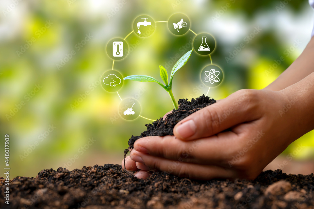 tree growing on soil in human hands and plant growth factor icon plant ...