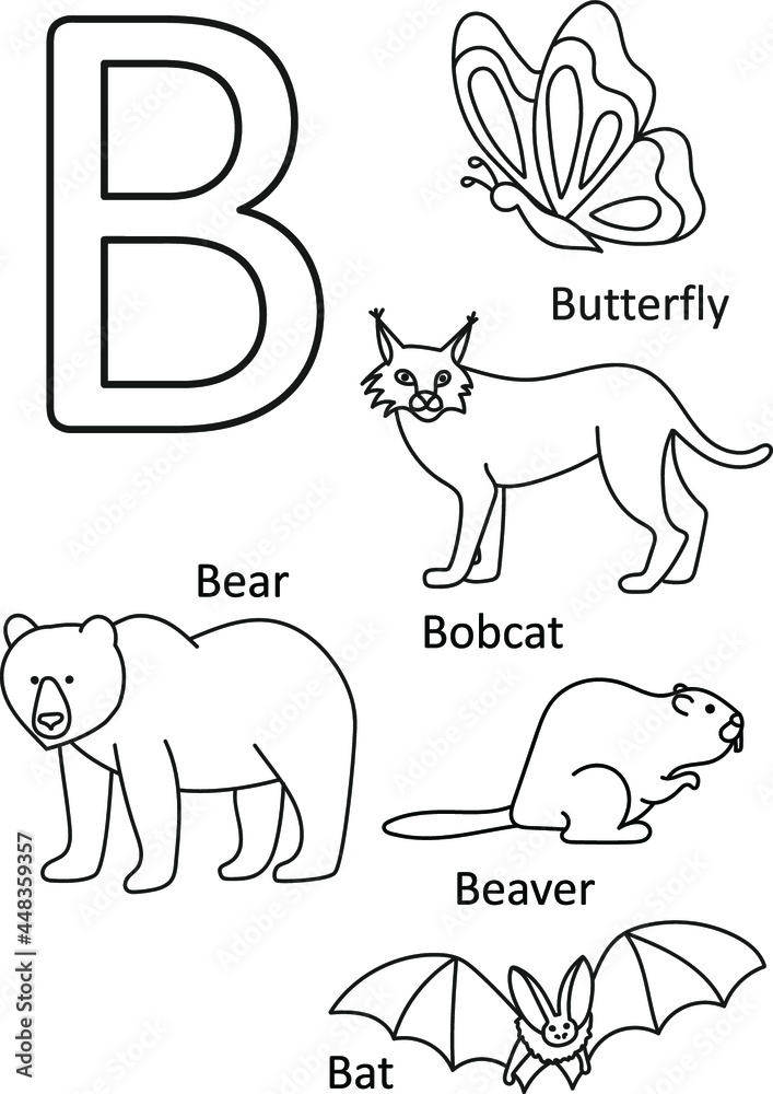 B animals names, Alphabet coloring for kids, Alphabet animals coloring ...