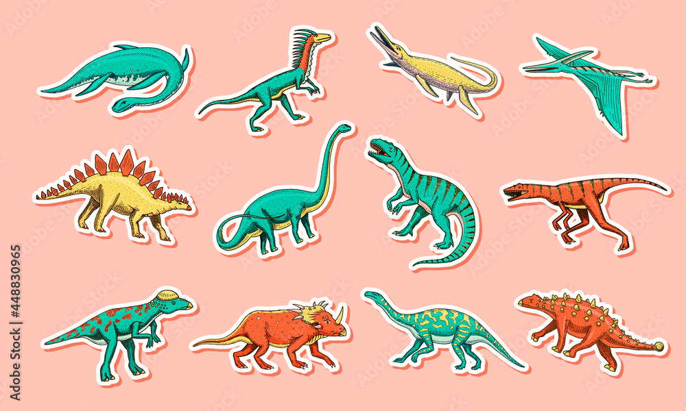 Dinosaurs set, Tyrannosaurus rex, Triceratops, Barosaurus, Diplodocus ...