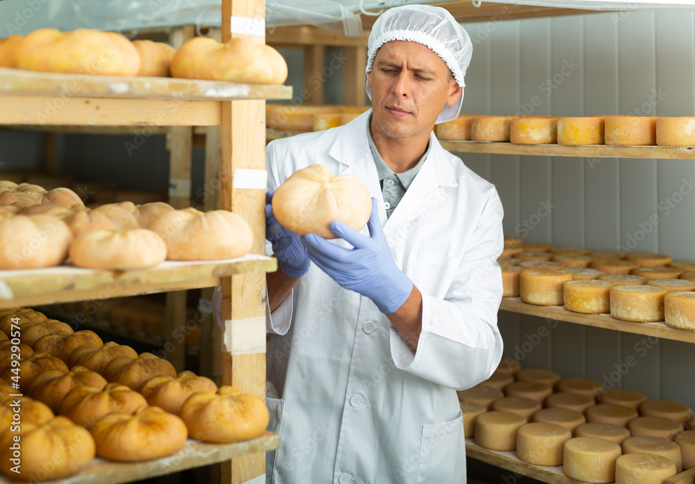 Focused man engaged in cheesemaking dressed in white uniform with cap ...