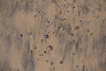 Ocean Rocks In Damp Sand Free Stock Photo - Public Domain Pictures