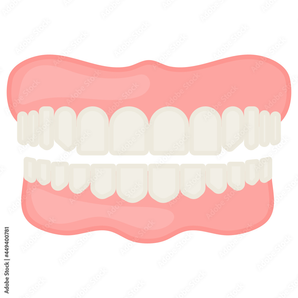 teeth jaw Concept Vector color Icon Design, Organ System Symbol, Human ...