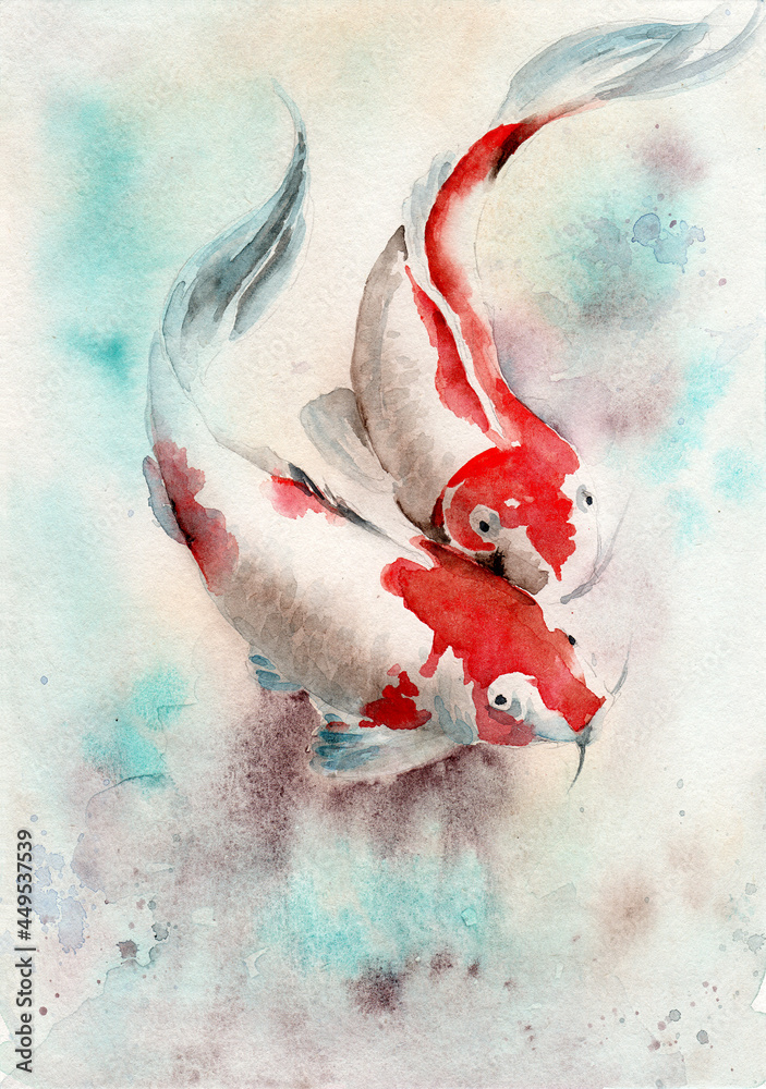 Watercolor illustration of two koi fish with red spots in transparent ...