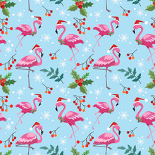 Christmas Cactus Seamless Pattern Free Stock Photo - Public Domain Pictures