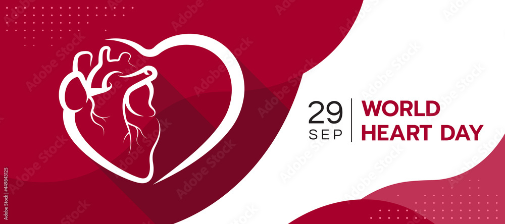 world heart day - abstract white line human heart sign and heart sharp ...