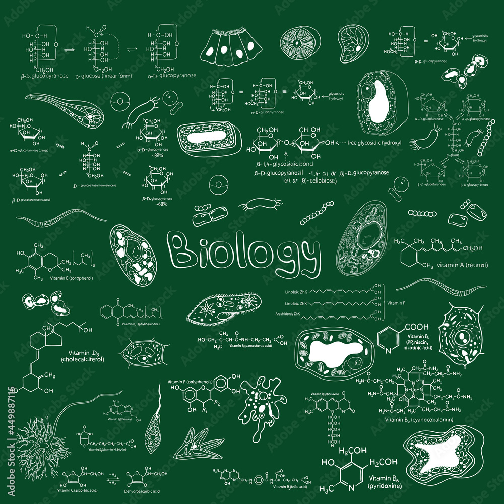 biology, back to school, school biological formulas illustration ...