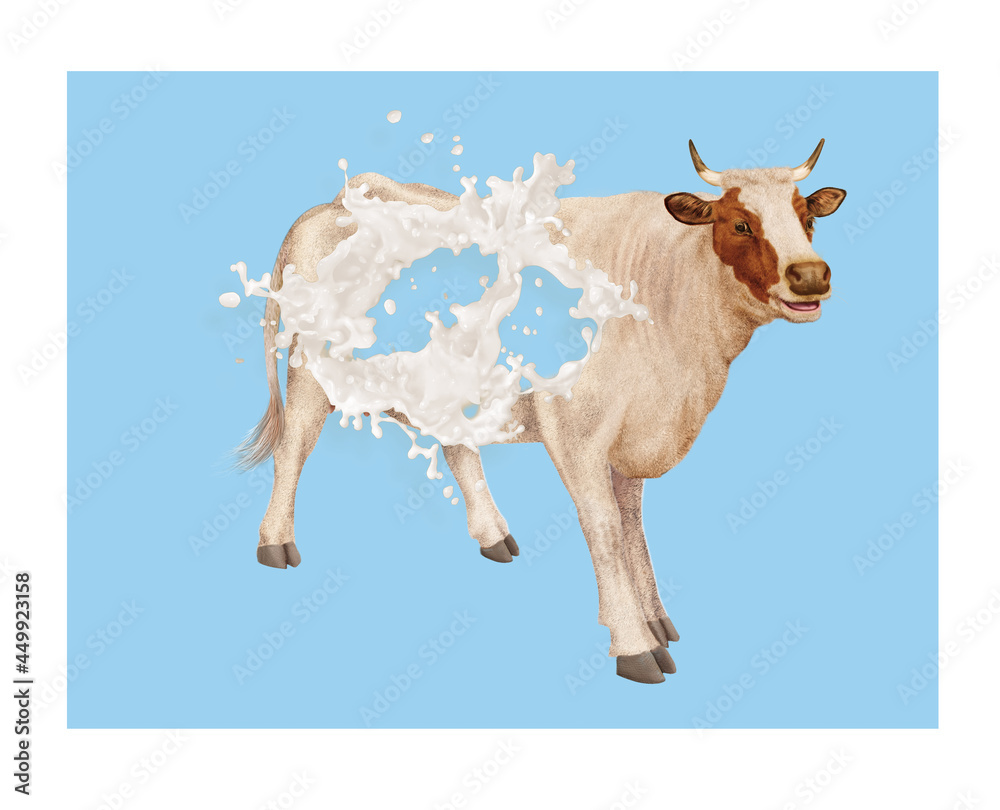 vache laitière, animal, plein de lait, explosion du lait , ventre ...