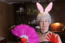 Pin-up, Rabbit, Girl, Glamour Free Stock Photo - Public Domain Pictures