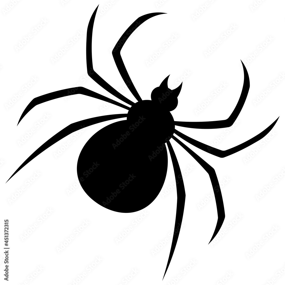 Spider. Silhouette. Vector illustration. Outline on an isolated white ...