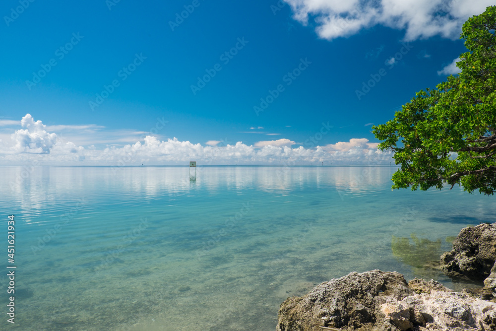Coral rocks and Mangrove trees along the shallows of the crystal clear ...