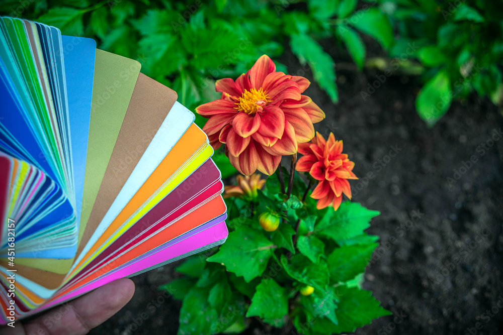 Paper layout with different colors of the film on the background of a ...