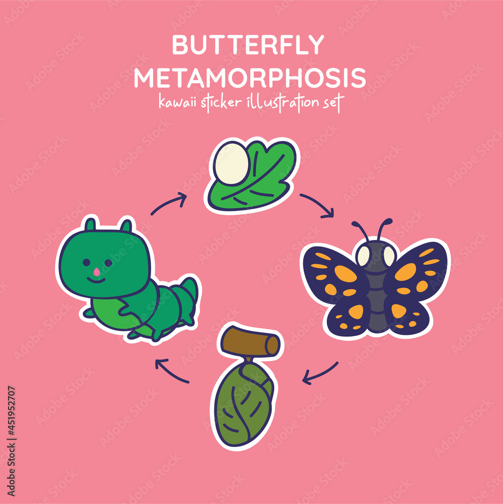 Cute and Kawaii Butterfly Metamorphosis Sticker Illustration Set from ...