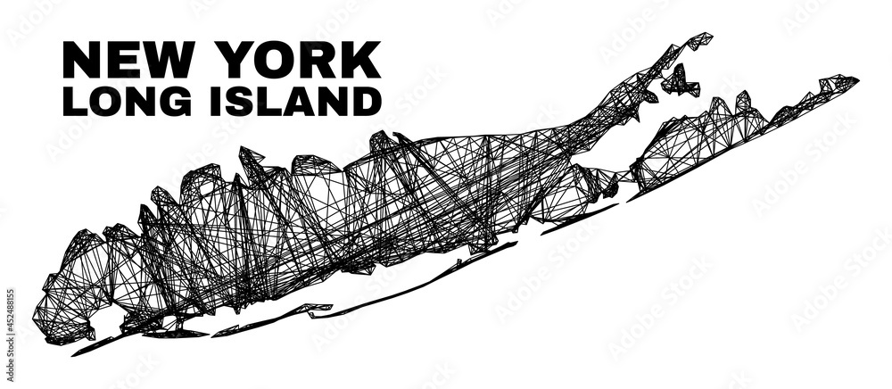 Wire frame irregular mesh Long Island map. Abstract lines are combined ...