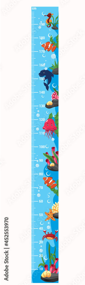 Stadiometer. Height measure. Wall meter or height Height meter. Sea ...
