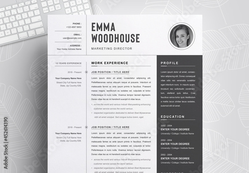 Modern Professional Resume Layout Stock Template | Adobe Stock