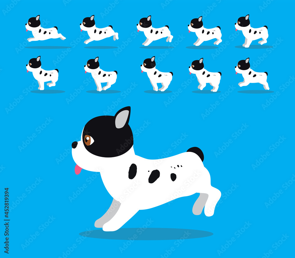 Animal Animation Sequence Dog Boston Terrier Cartoon Vector Coat 1 ...