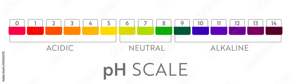 pH Value scale chart. Acid-base balance infographic. Education Poster ...