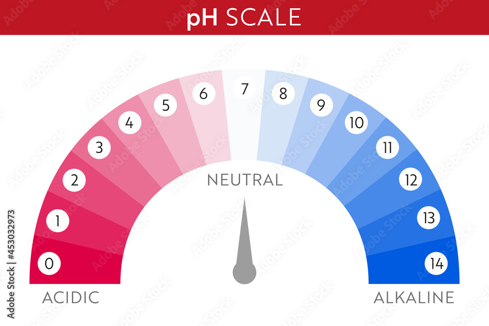 pH Value scale chart. Acid-base balance infographic. Education Poster ...