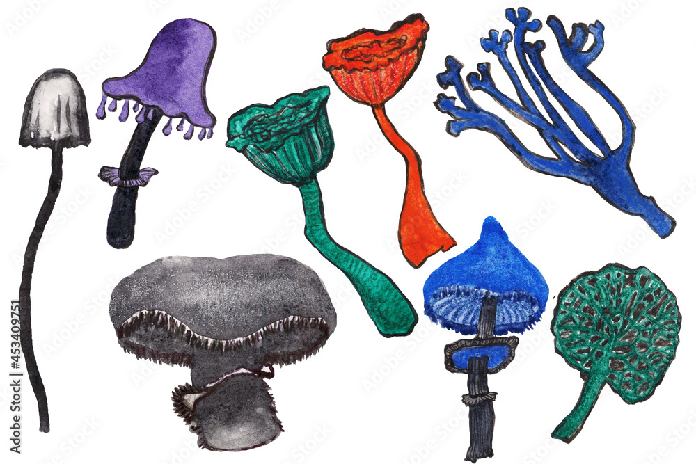 Colorful inedible mushrooms set . Fancy Poison fungus set, of different ...