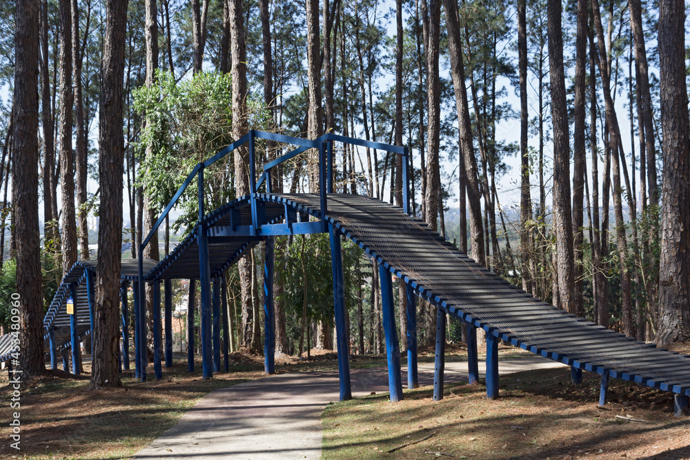 Mountain bike trail with challenging wooden boardwalk and ramp. Stock ...