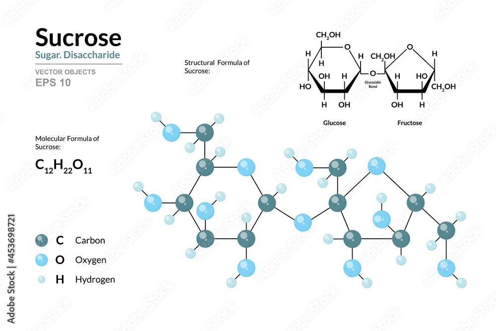 3d Sucrose Molecule