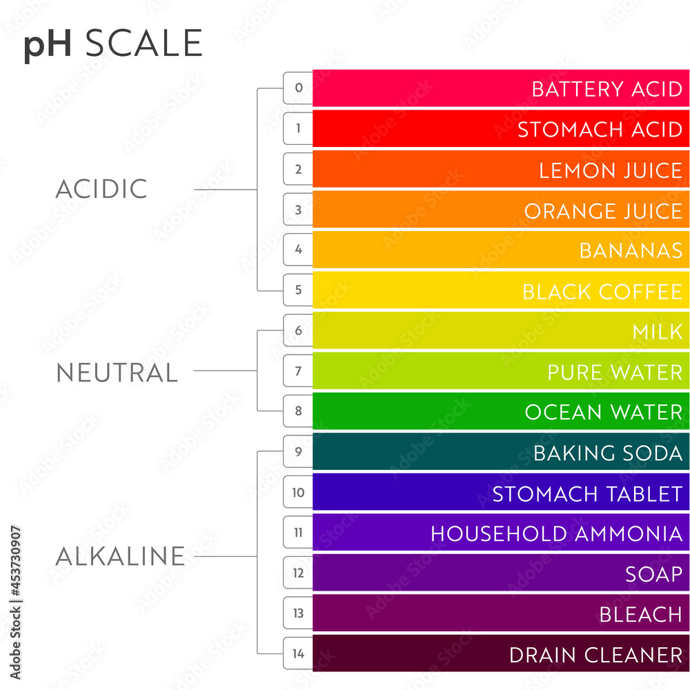 Vector de Stock pH Value scale chart. Acid-base balance infographic ...