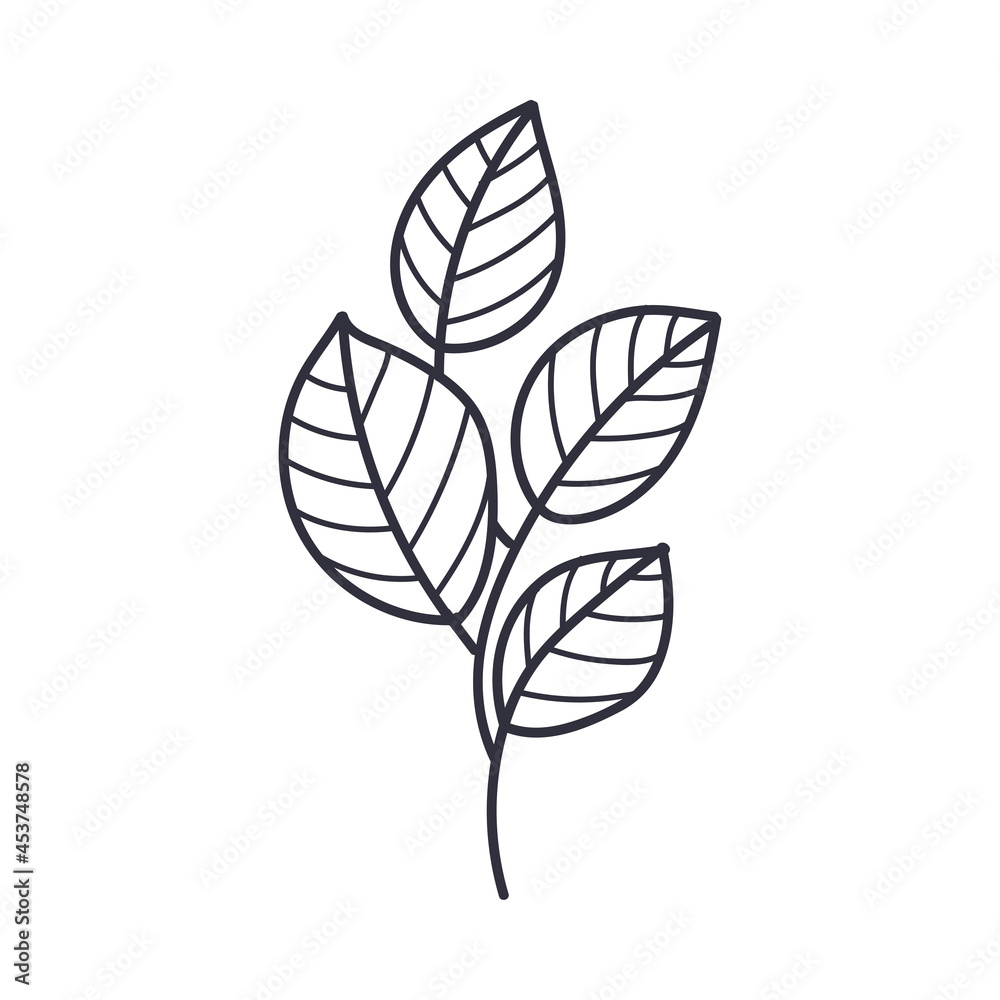 Hand Drawn Autumn Leaf Contour or Outline Vector Illustration Stock ...