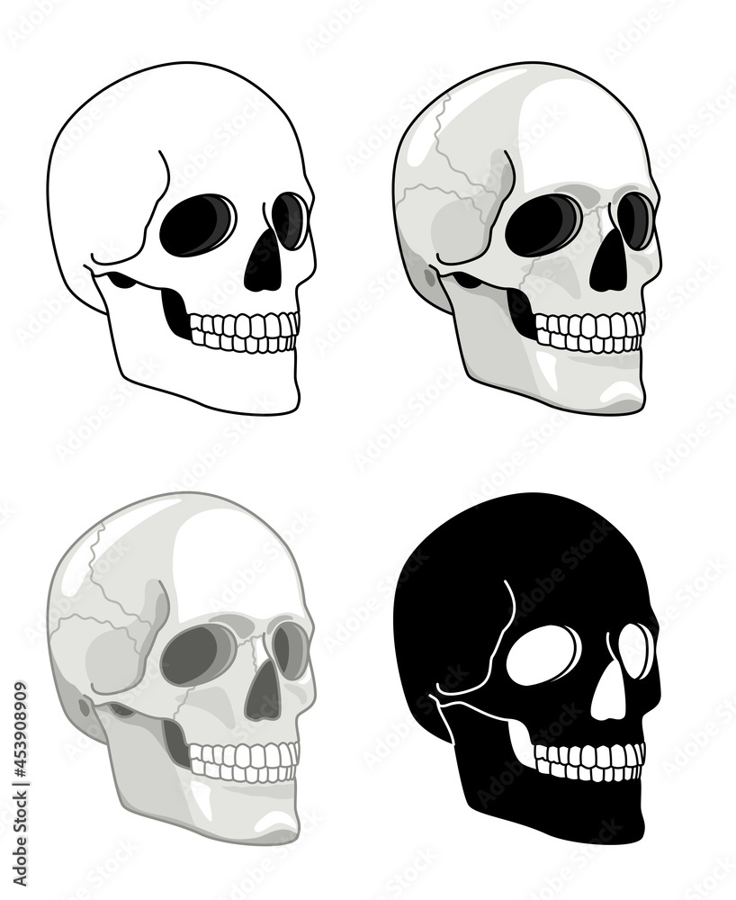 Simple drawn skull. Vector hell skulls icons, tattoo human skeleton ...