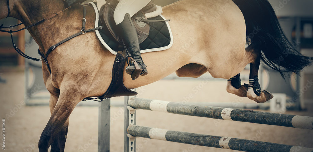 The shod hooves of a horse over an obstacle. The horse overcomes an ...
