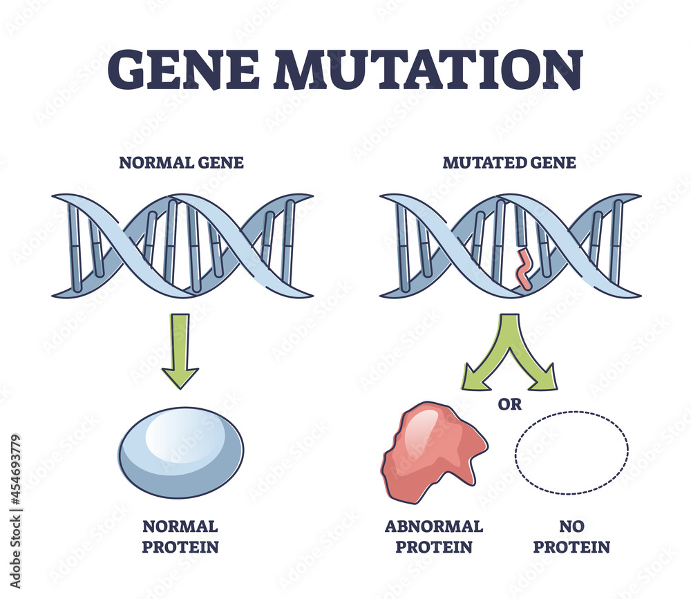 Стоковое векторное изображение «Gene mutation models comparison with ...