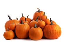 Orange Pumpkins In Market Free Stock Photo - Public Domain Pictures
